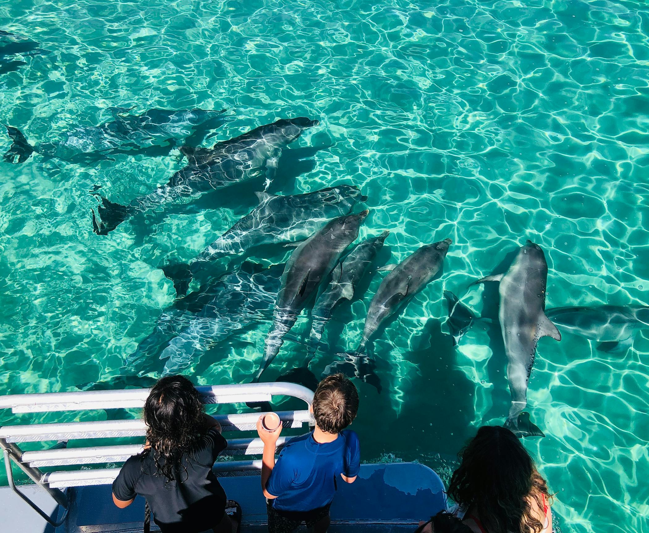 Kangaroo Island Boat Tour 1.5 Hours | Travello