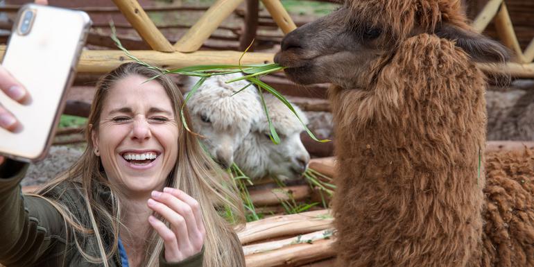 Inca Adventure 7-Day Tour - Backpacker Deals