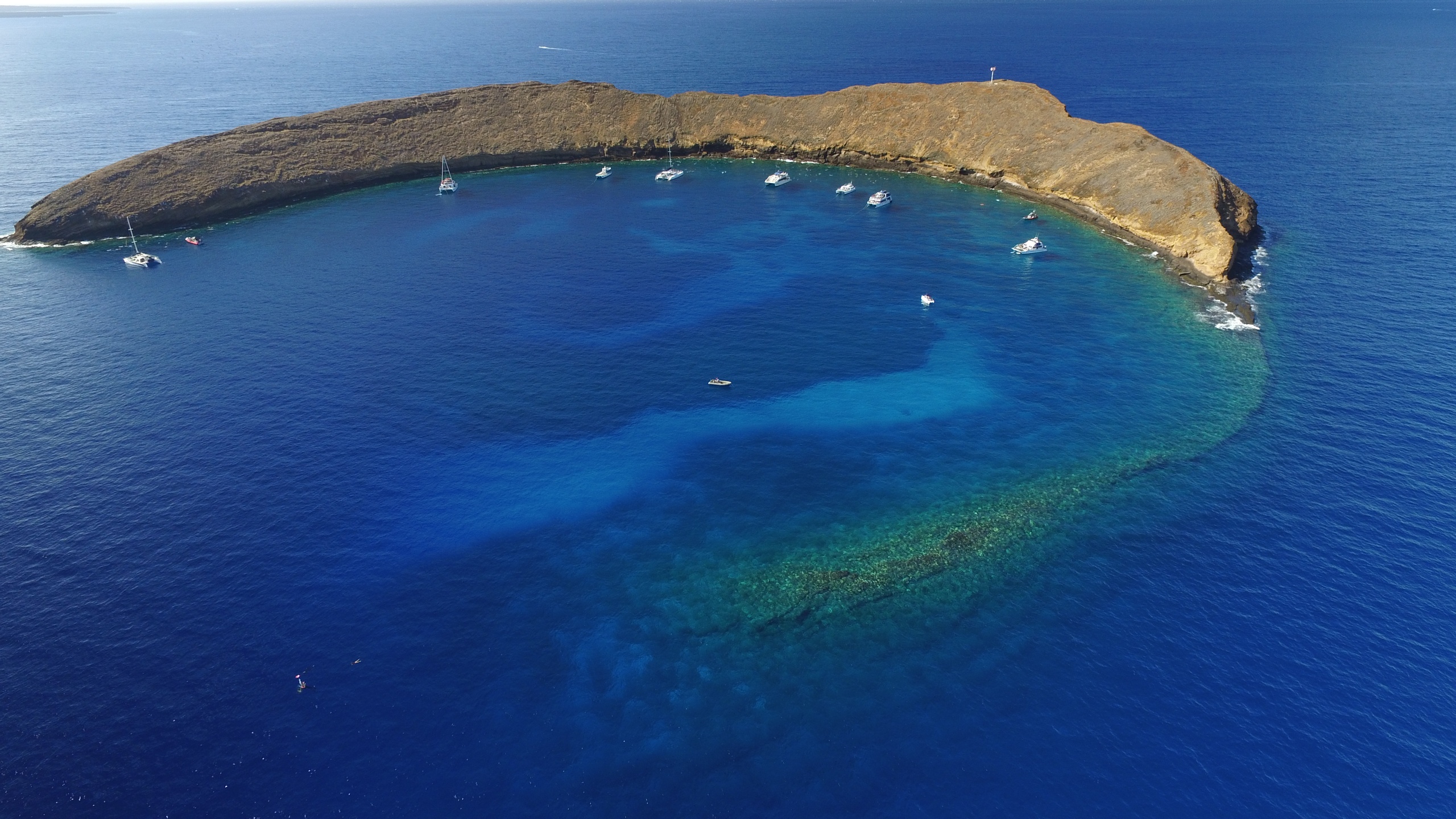 Molokini Crater & Turtle Cove Snorkel Tour | Backpacker Deals