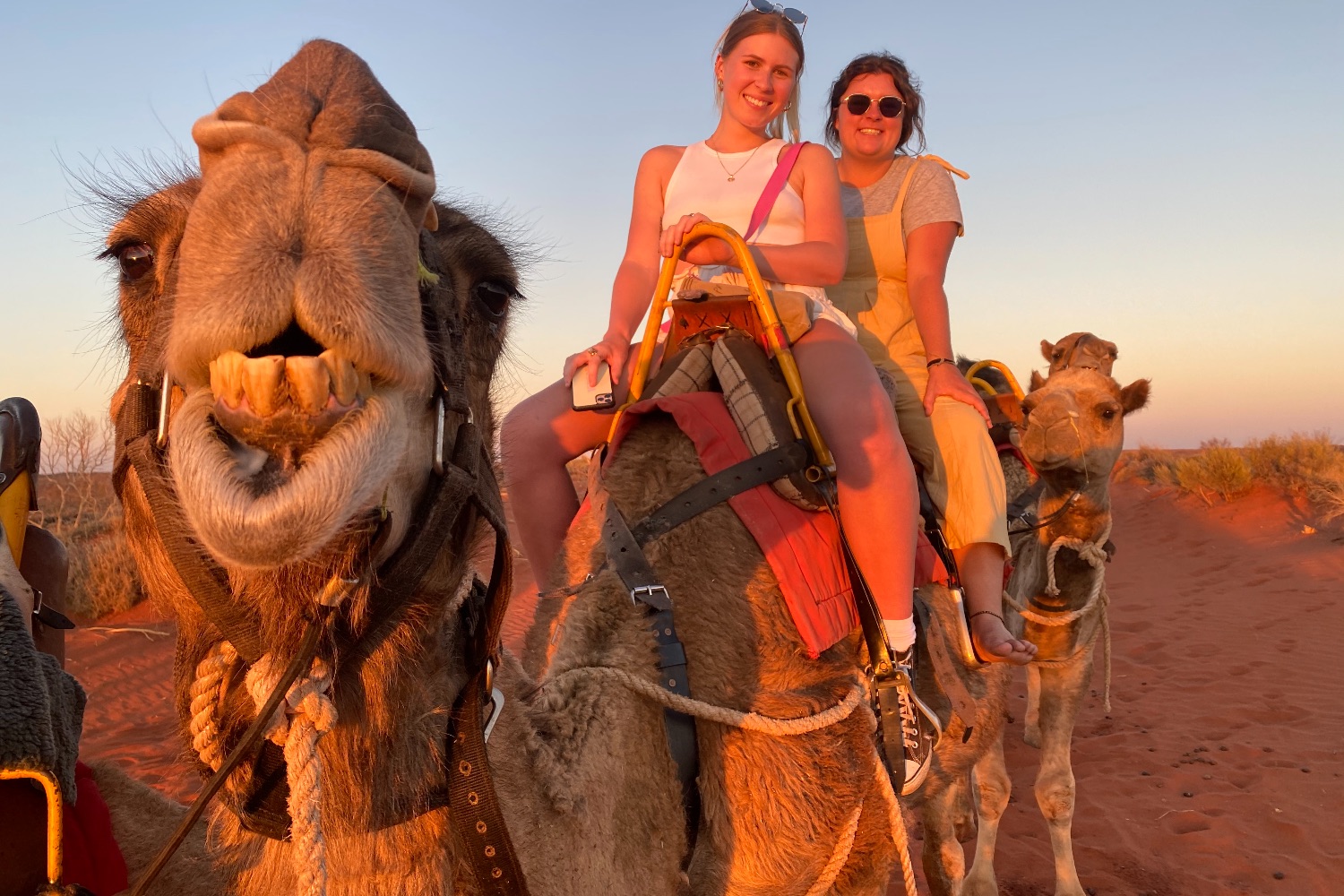 Uluru Sunset Camel Ride Experience - Backpacker Deals