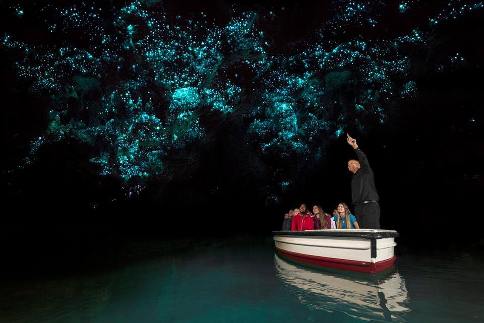 Waitomo Caves Boat Tour | Waitomo Glowworm Caves & Tours NZ ...